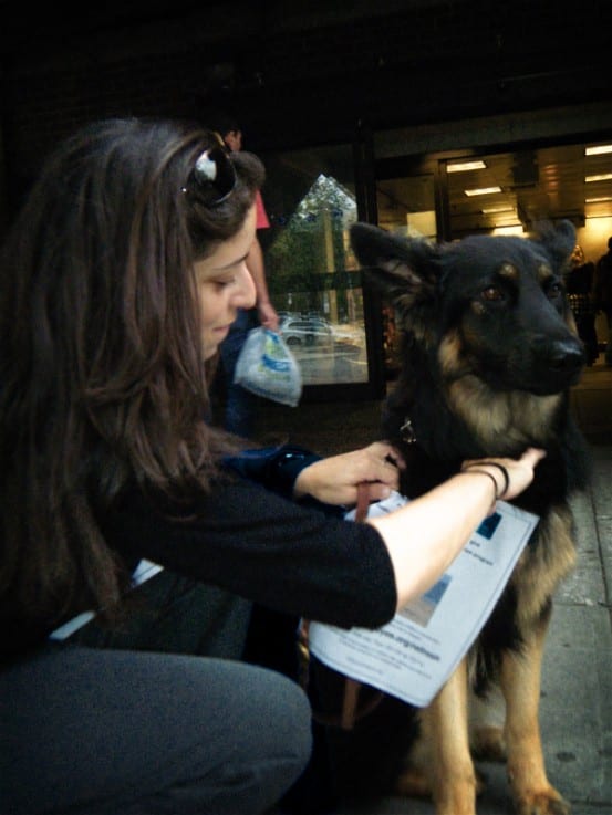 Heeling Autism Service Dogs at White Plains Station – I Ride The Harlem ...