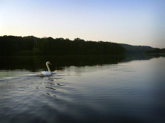 Nature along the Harlem Line: The Muscoot Reservoir & Bridge L-158 – I ...